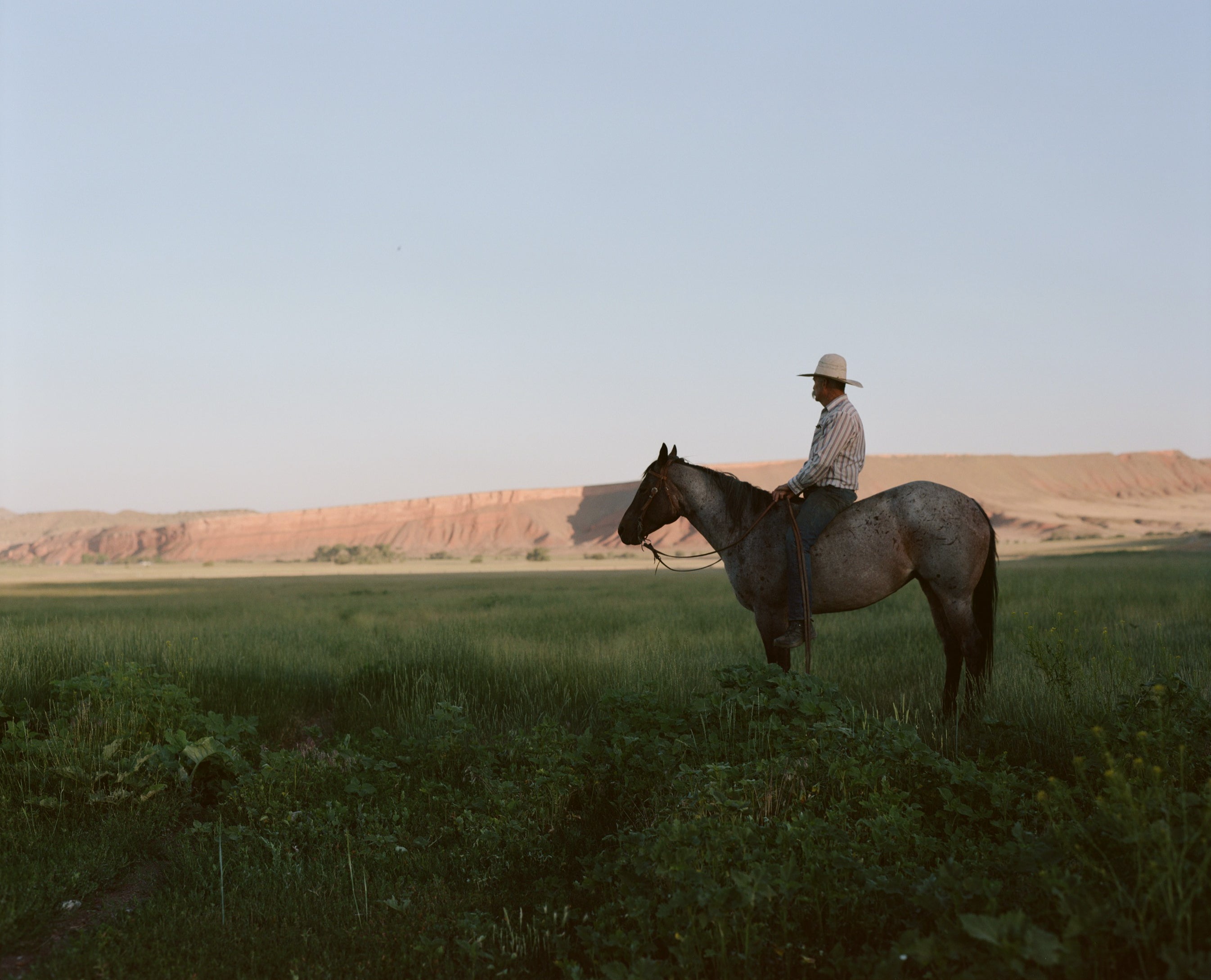 December 2023 Updates: About Land – Ranchlands
