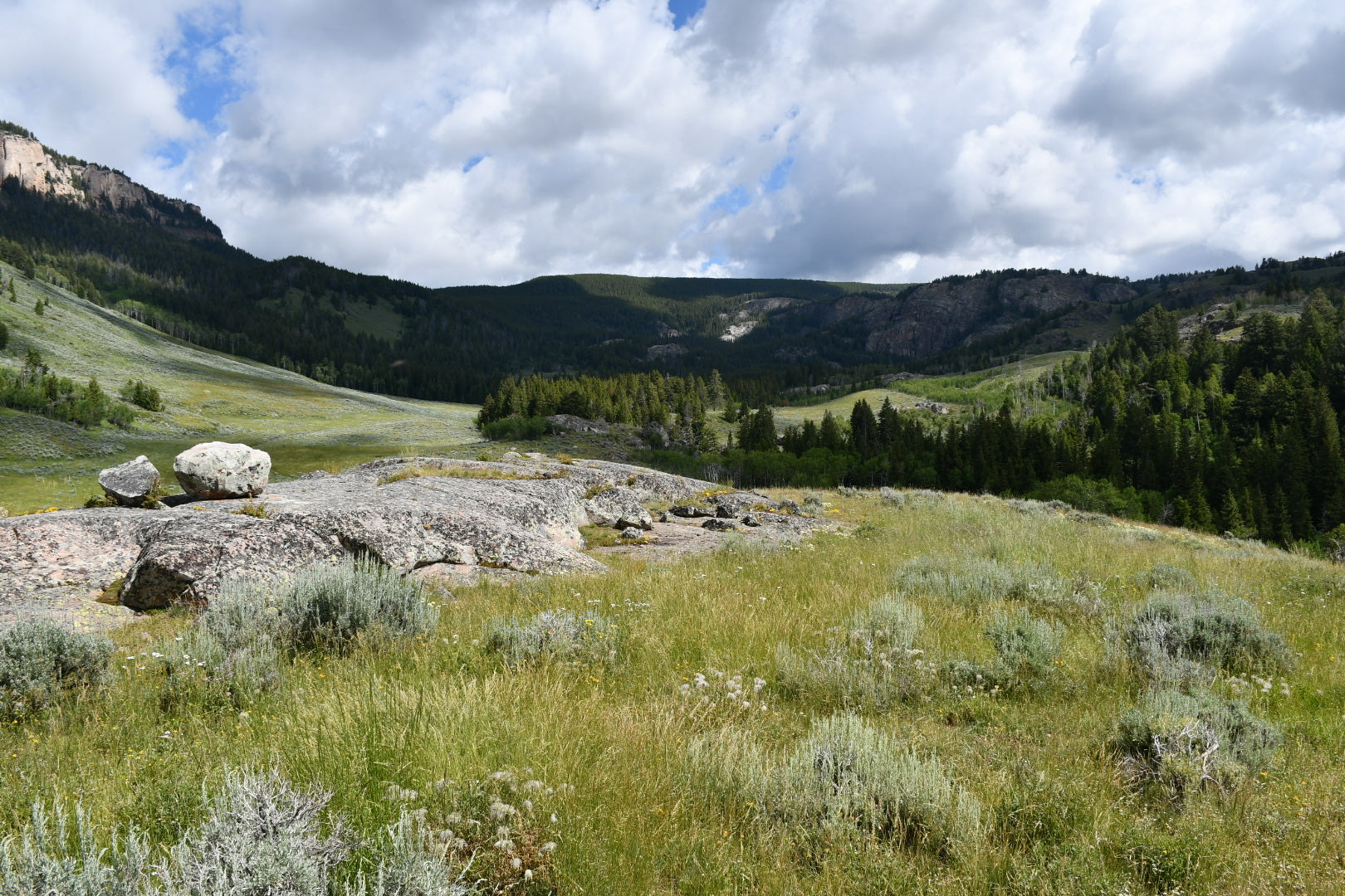 July 2023 Updates – Ranchlands