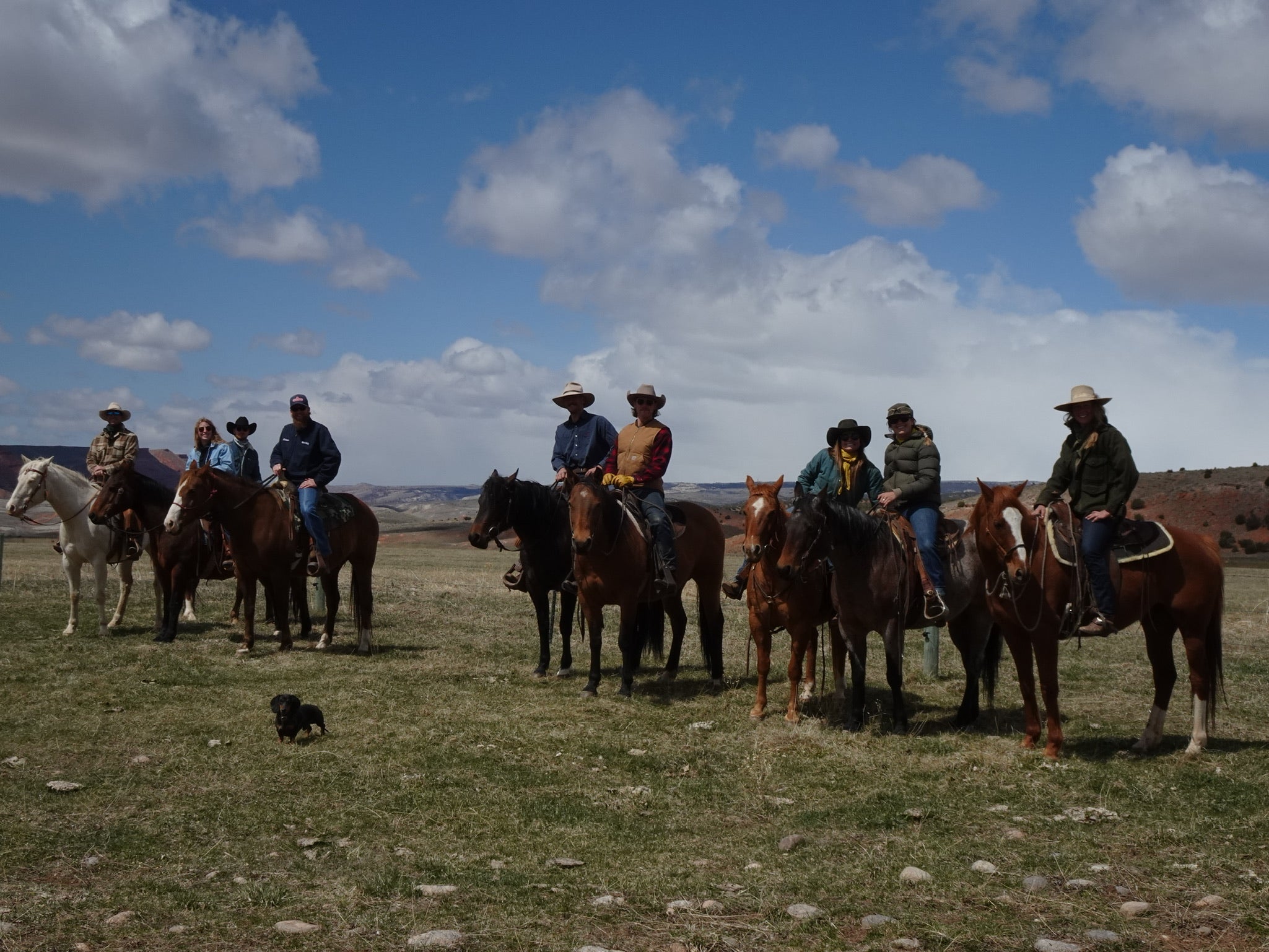 May 2023 Updates – Ranchlands
