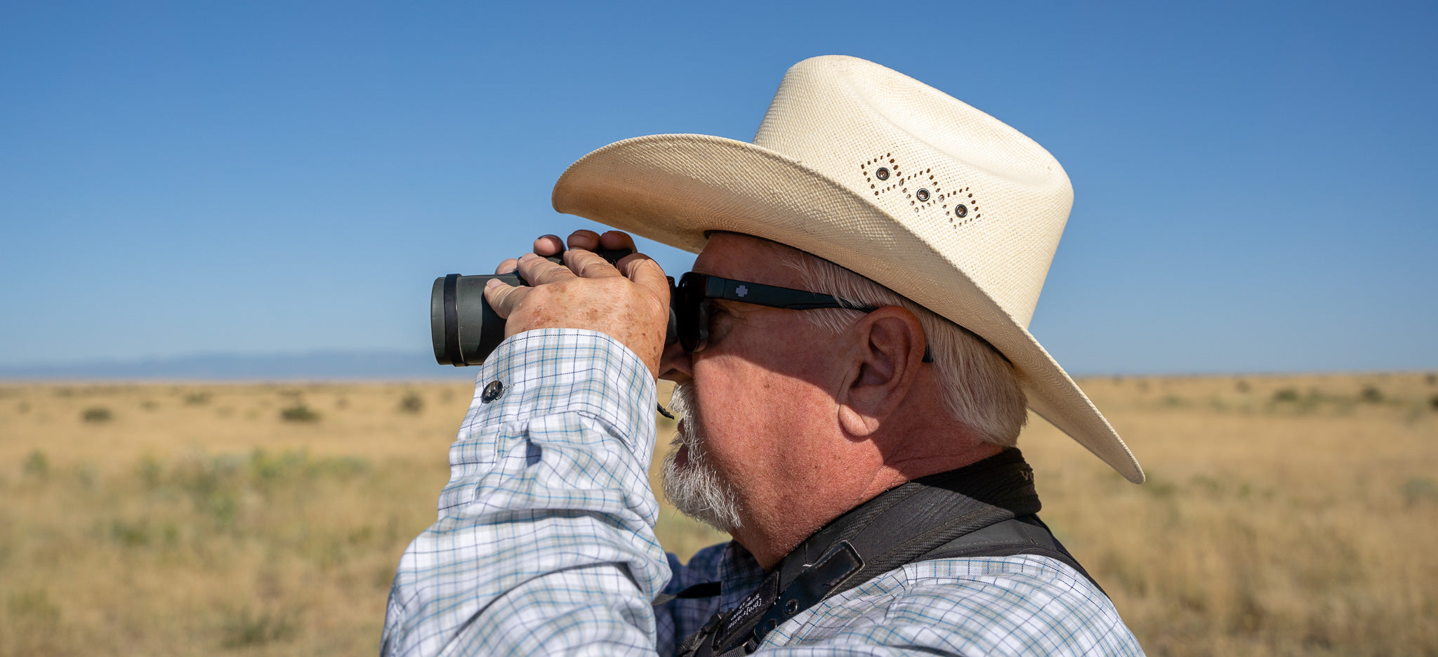 How to Find Foxes – Ranchlands