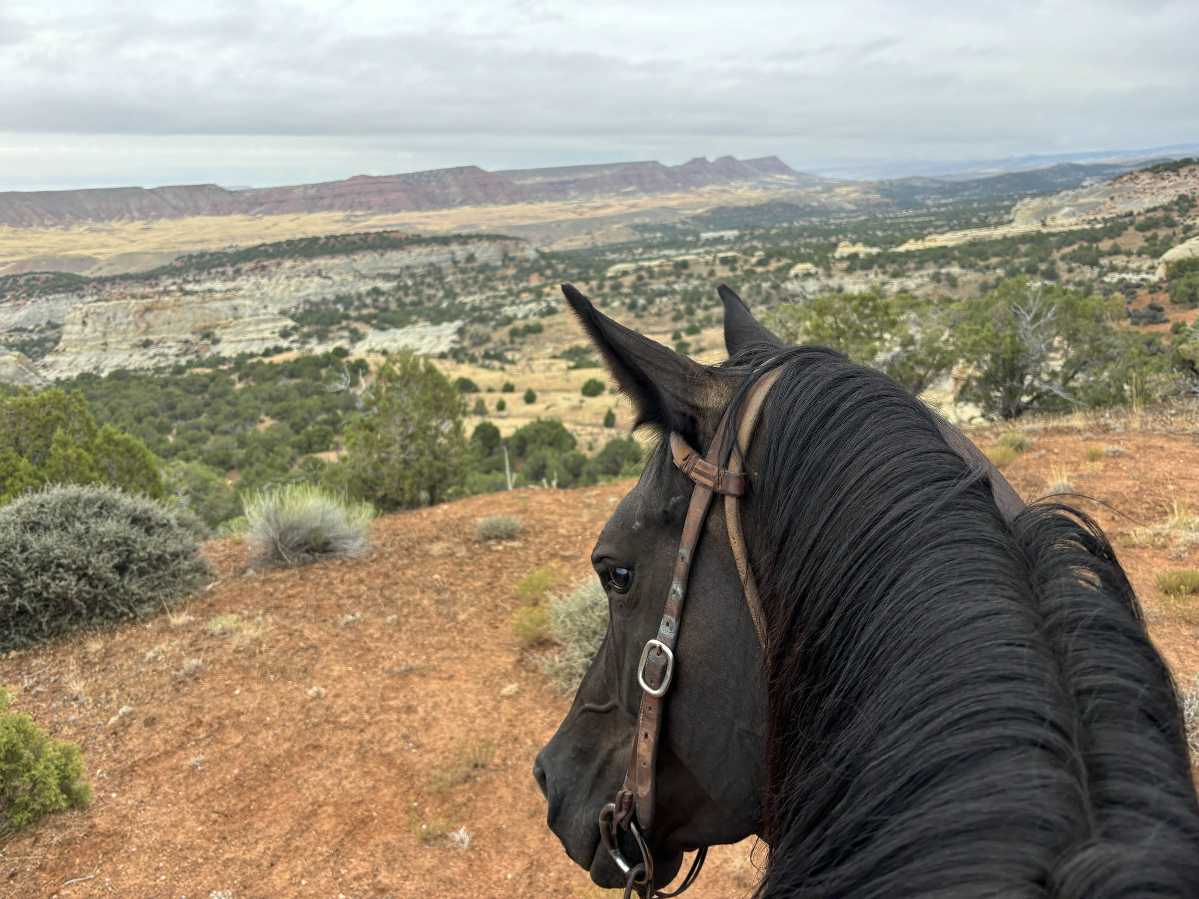 August 2024 Updates – Ranchlands