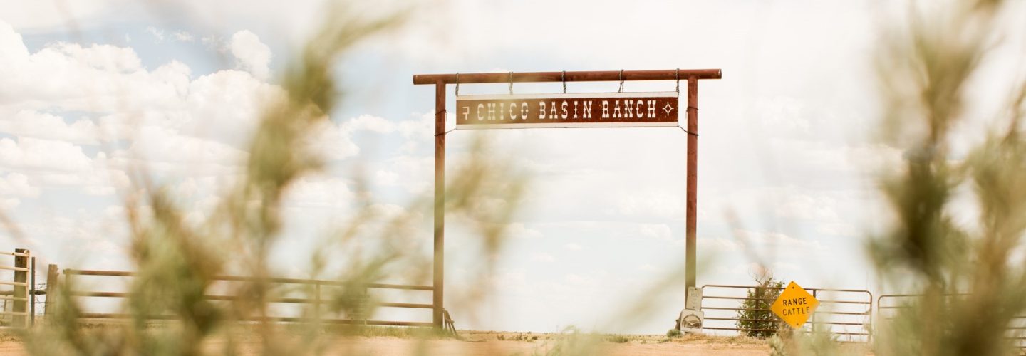 Where the Gate is Always Open – Ranchlands