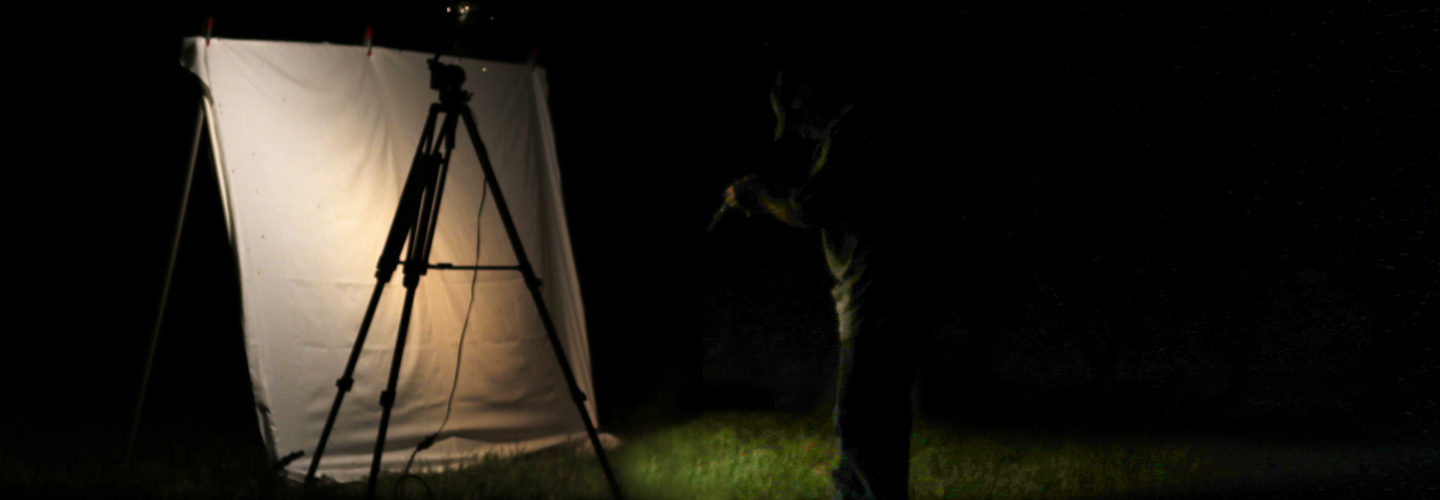 Black Lights and UV Lights Attract Insects – Ranchlands