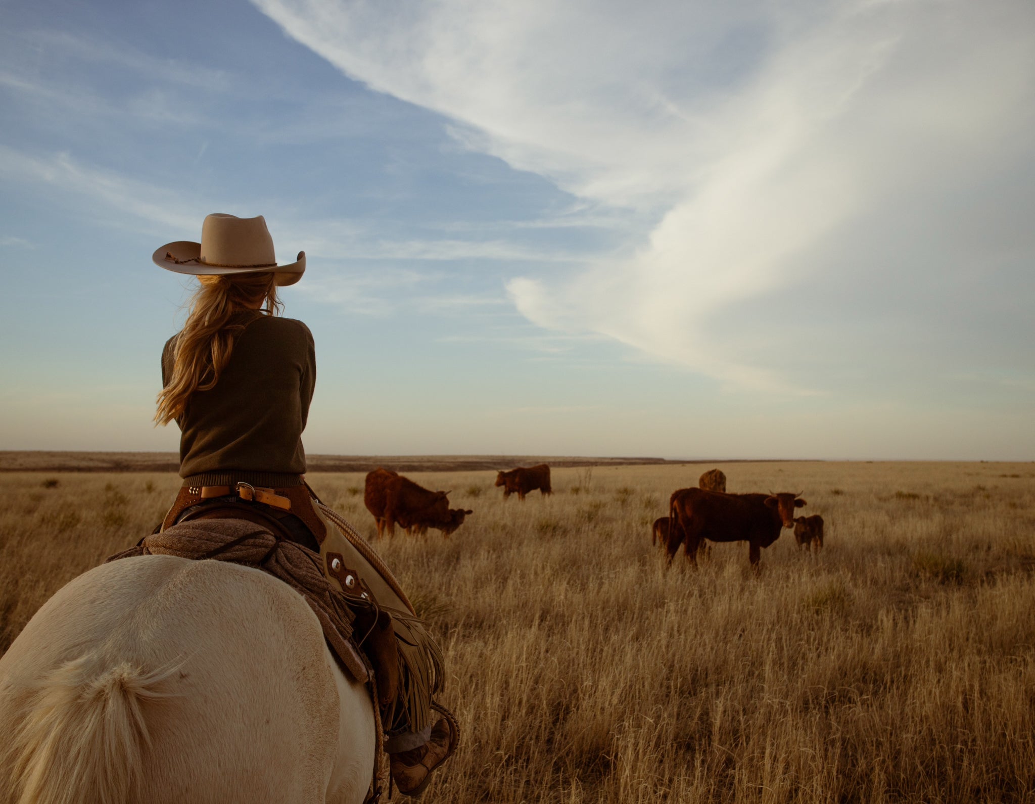 The Ranchlands Review | Calving Journal