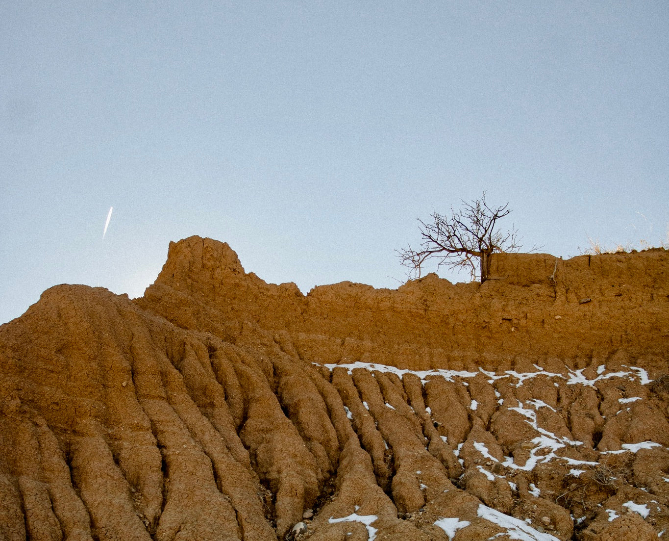 Mr. Frying Pan – Ranchlands