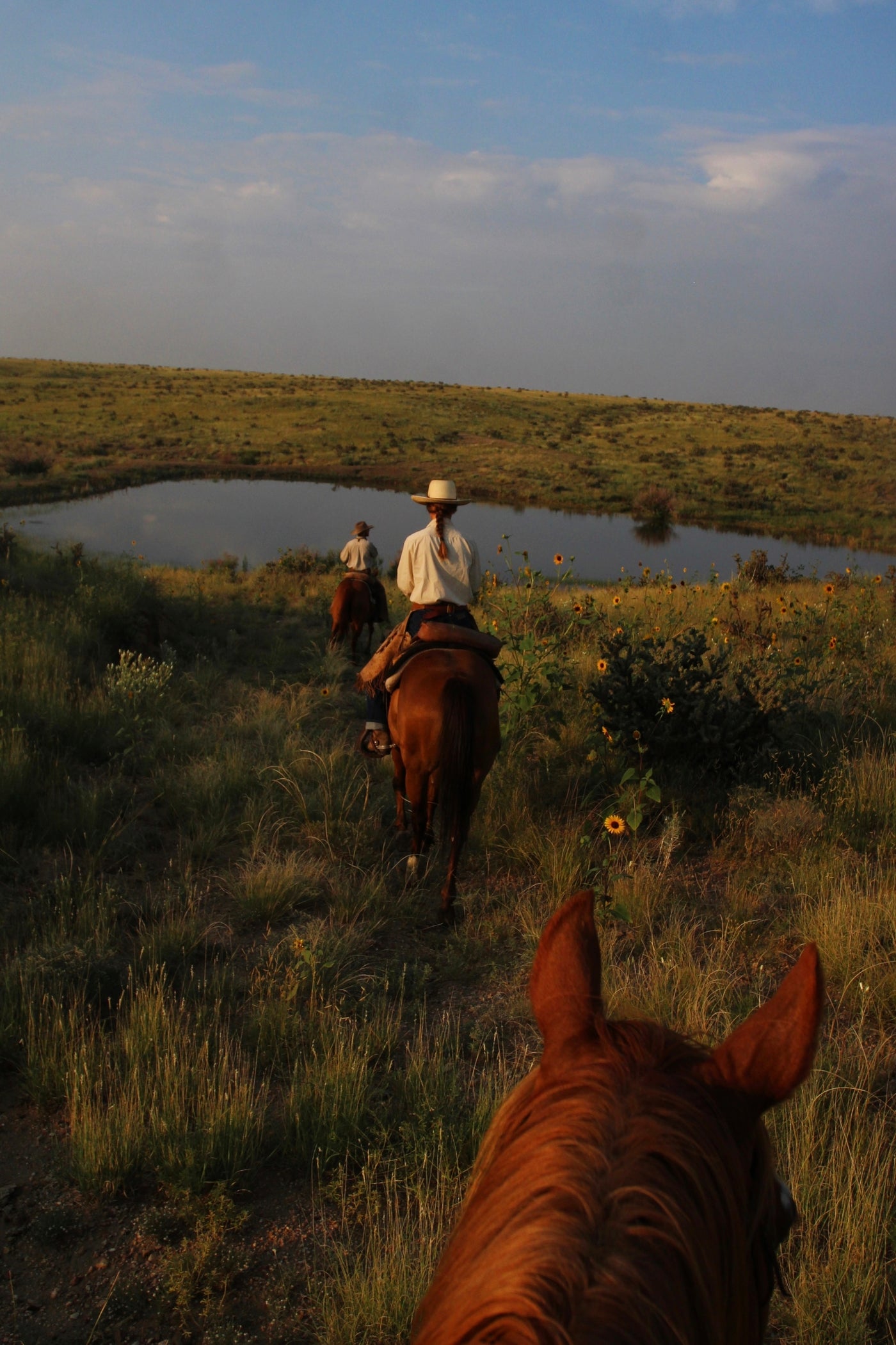 Halfway There – Ranchlands