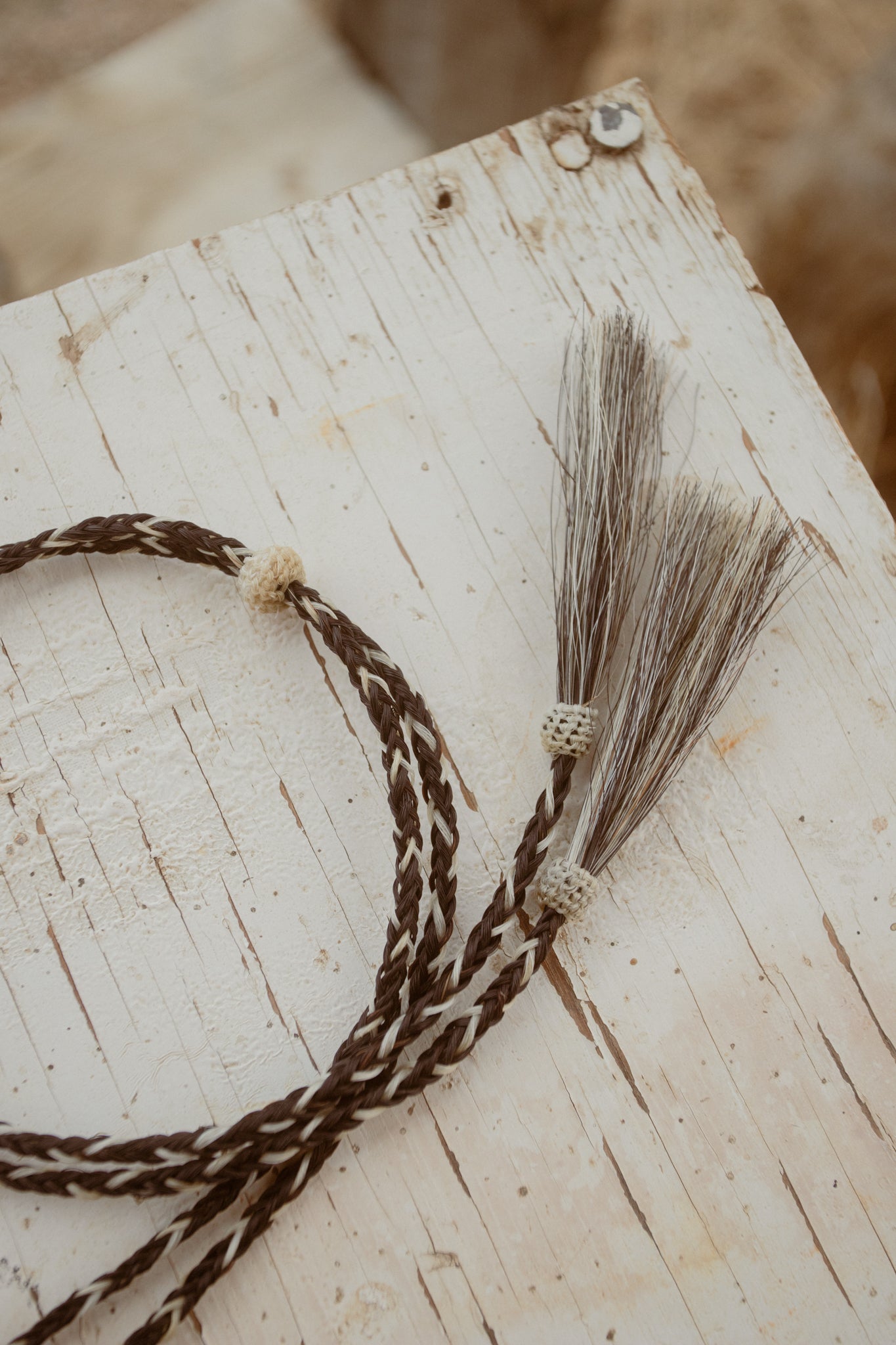 Ranchlands Mercantile - Stampede String